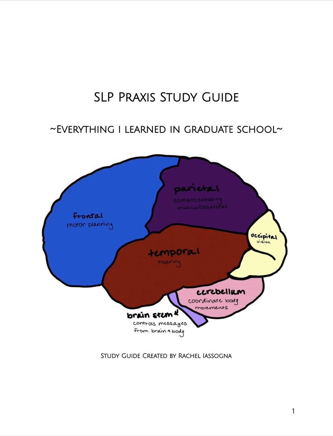SLP Praxis Study Guide Prep - Etsy