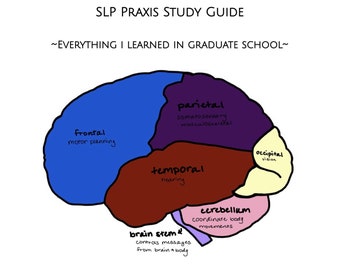 SLP Praxis Study Guide Prep - Etsy