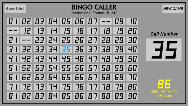 Bingo Caller - Bingo Game Software - Etsy