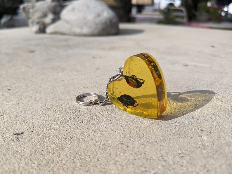 Japanese Beetle Amber Keychain - Faux Amber Keychain Perfect for Any ...