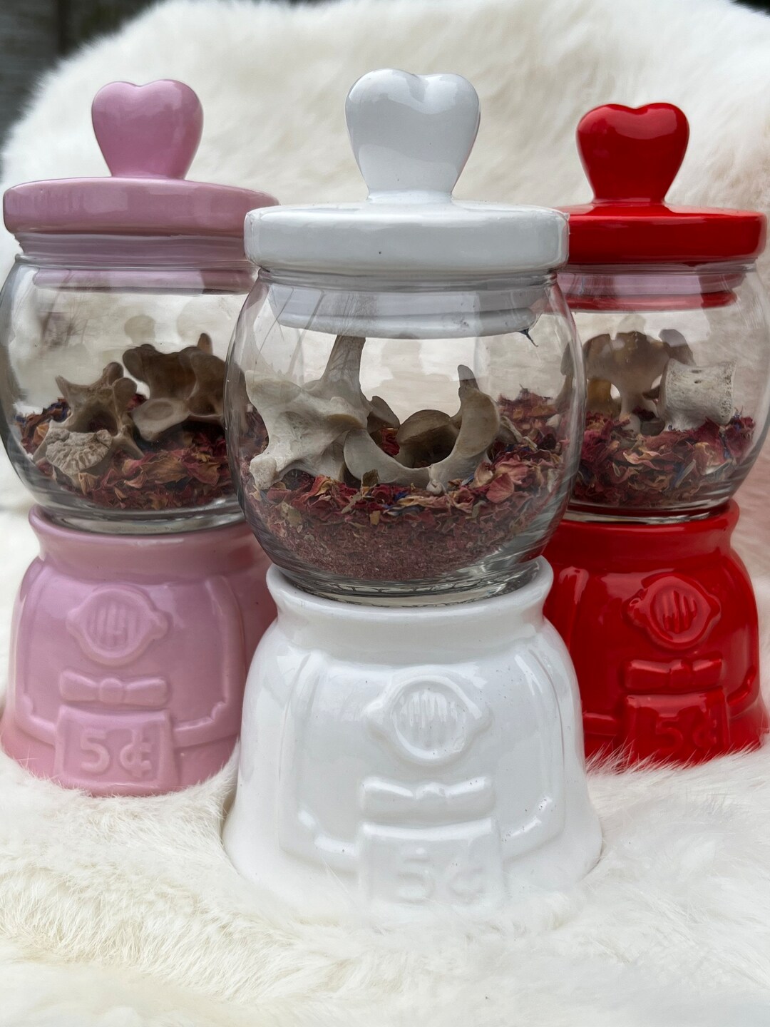 Gumball Bone Display - Etsy