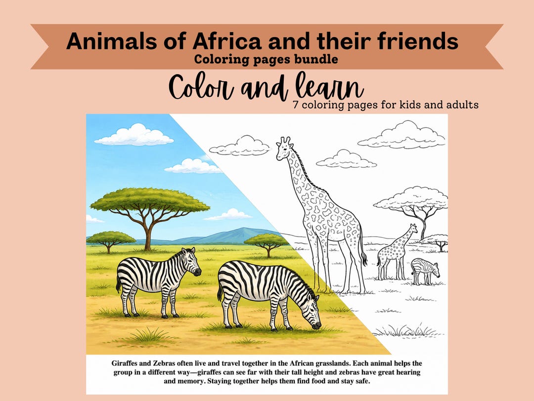 African Animals Coloring Pages Bundle: Safari Wildlife Educational ...