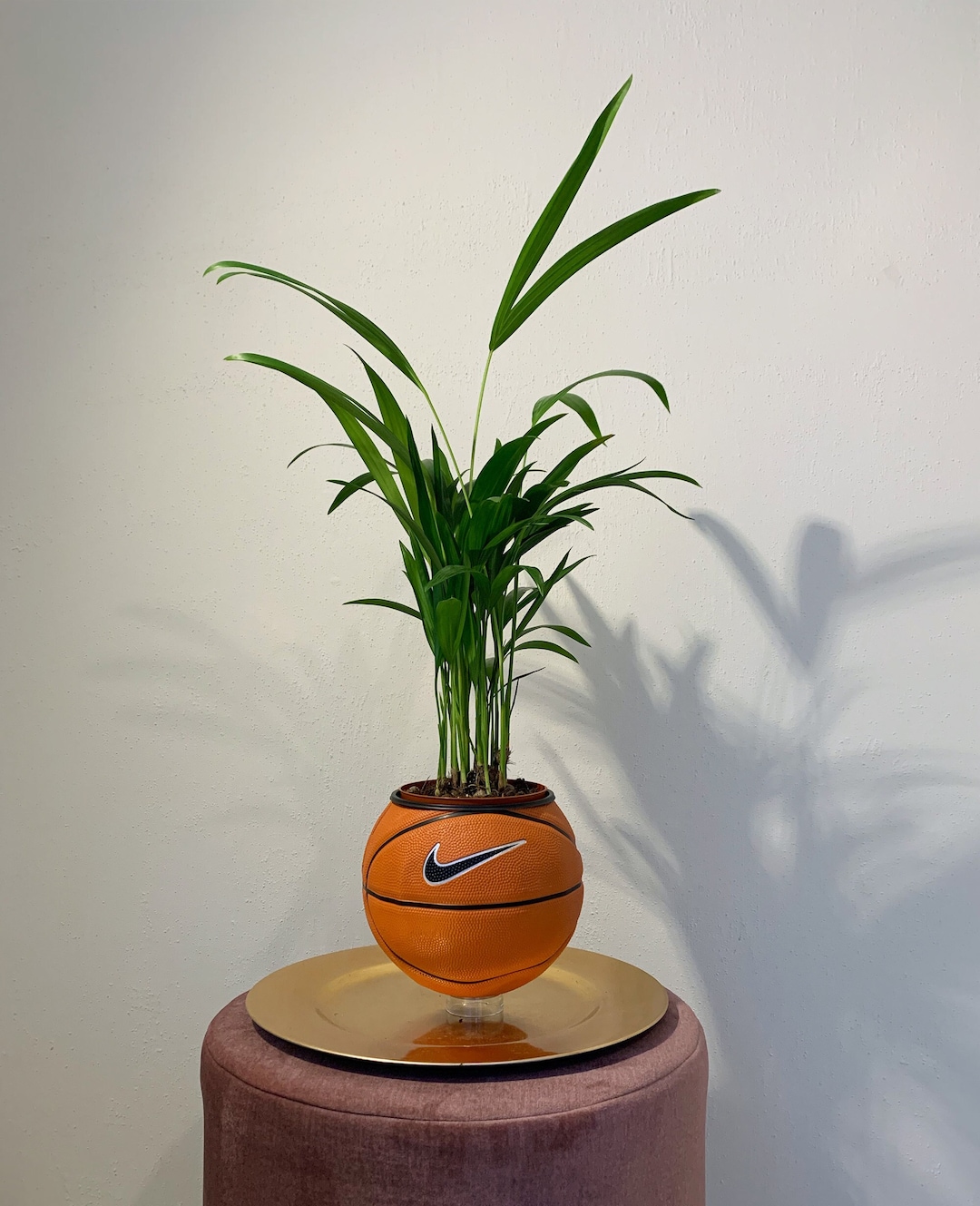 Nike Basketball Plant OG 'minori' - Etsy