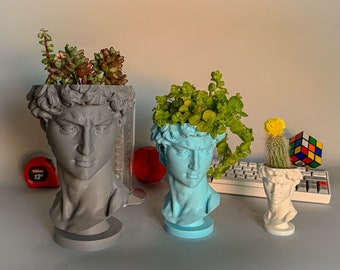 David Bust Planter Pot for Plants Greek Heroic Male David's Head ...