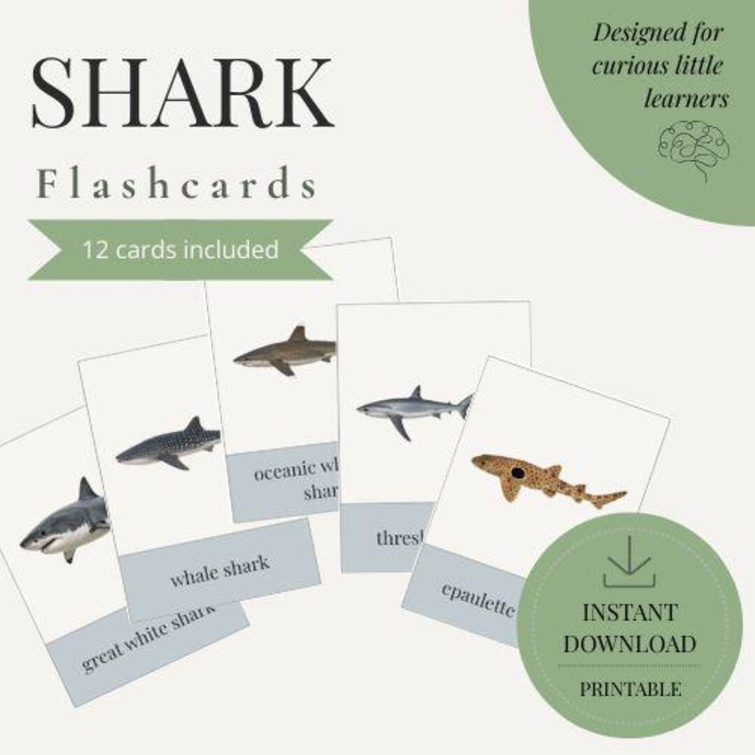 Shark Flashcards Printable | Montessori-style Learning Cards | 12 Shark ...