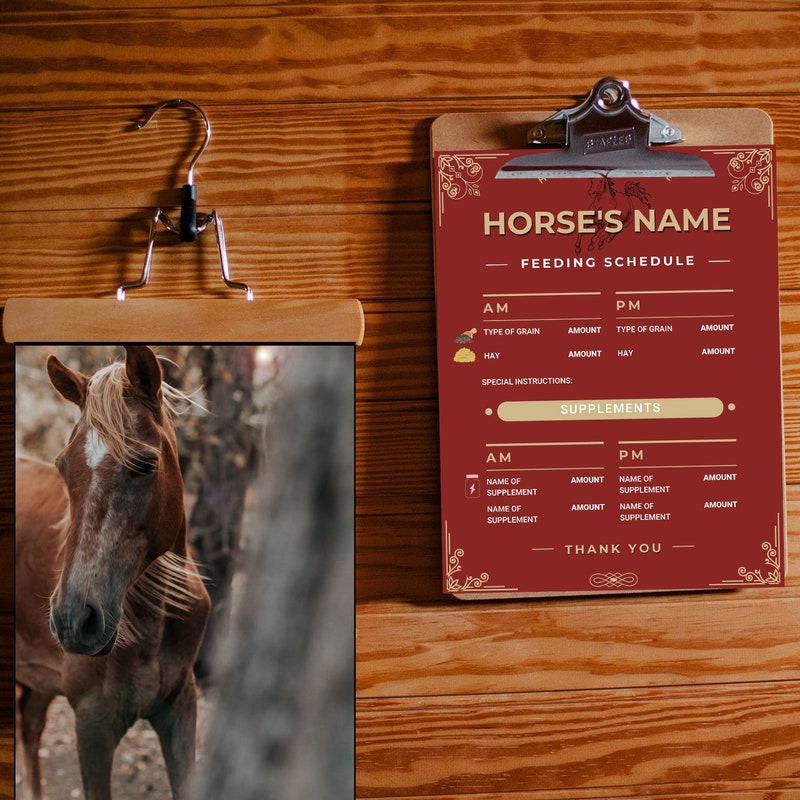 Feed Chart for Barn - Etsy