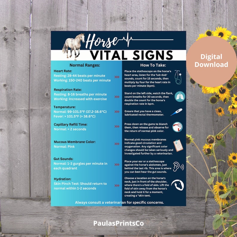 Horse Vital Signs Made Simple: A Reference for Every Equestrian ...