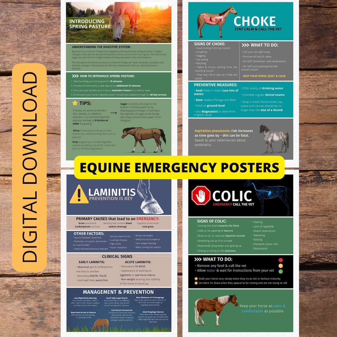 Equine Health Posters Emergencies Colic Choke Laminitis - Etsy