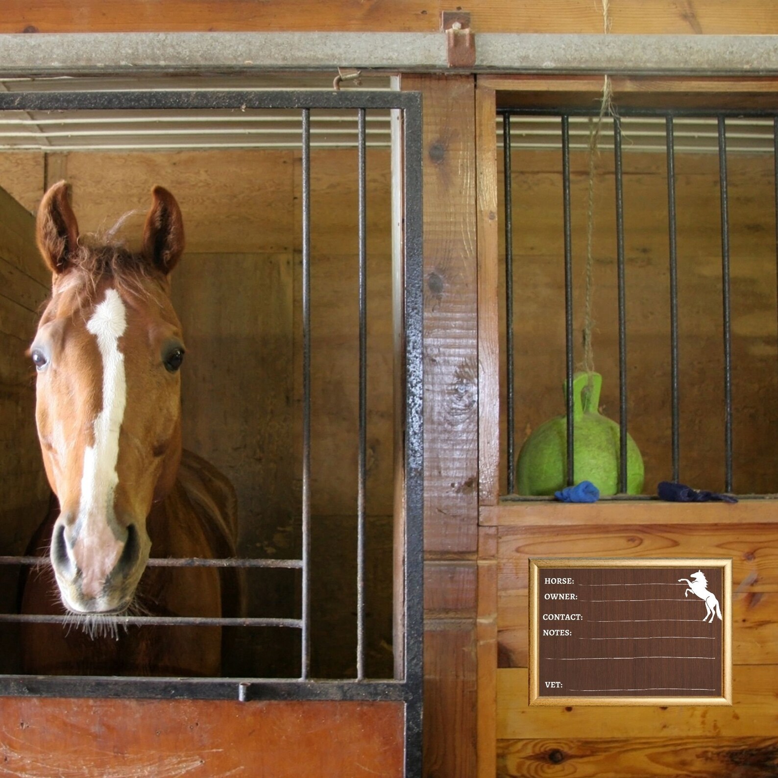Horse Stall Card - 5 PACK | Instant Download - Etsy