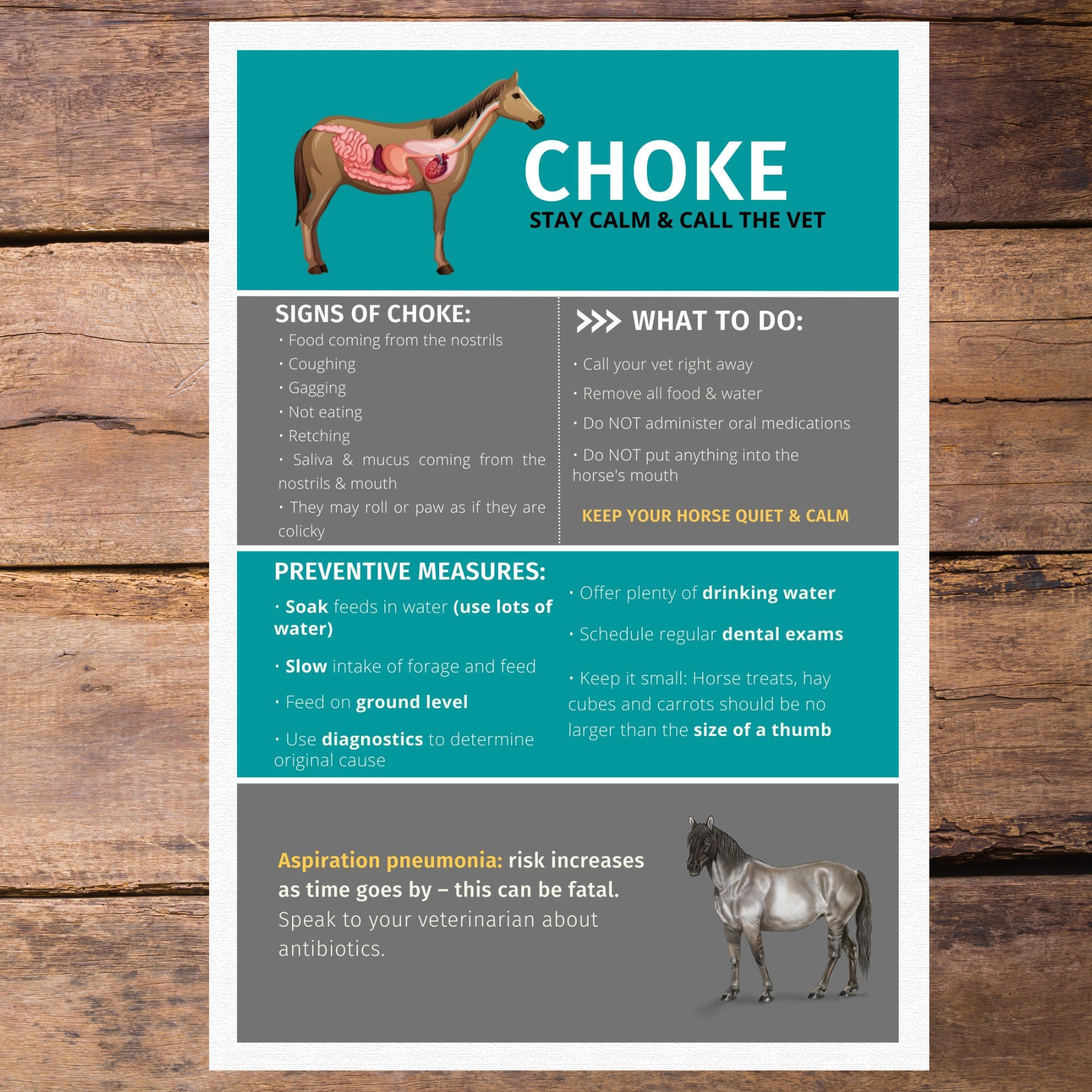 Equine Health Posters | Emergencies - Colic, Choke, Laminitis, and ...