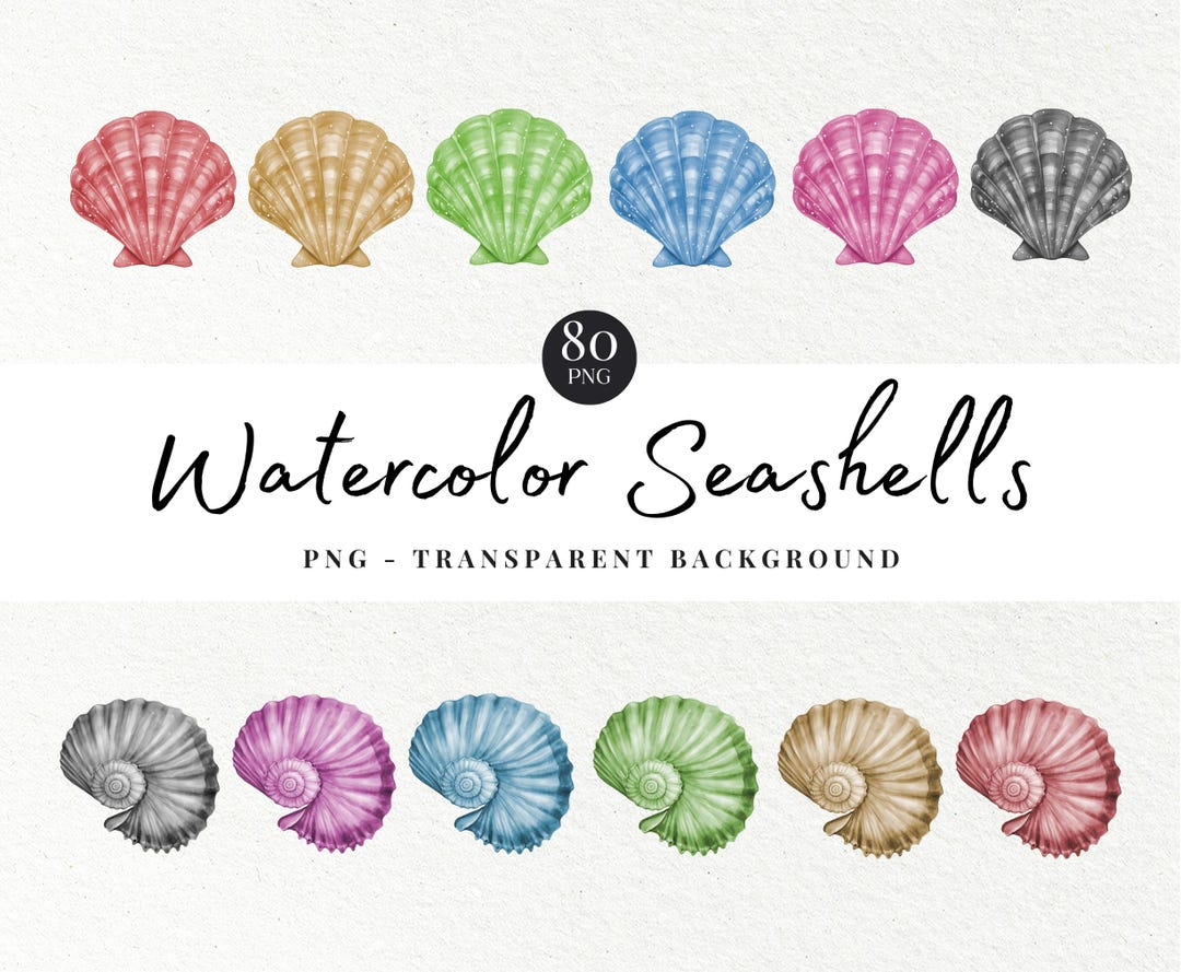 80 Watercolor Seashell PNG Bundle Shell Clipart Transparent Background ...