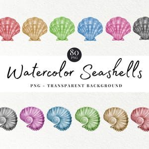 80 Watercolor Seashell PNG Bundle Shell Clipart Transparent Background ...