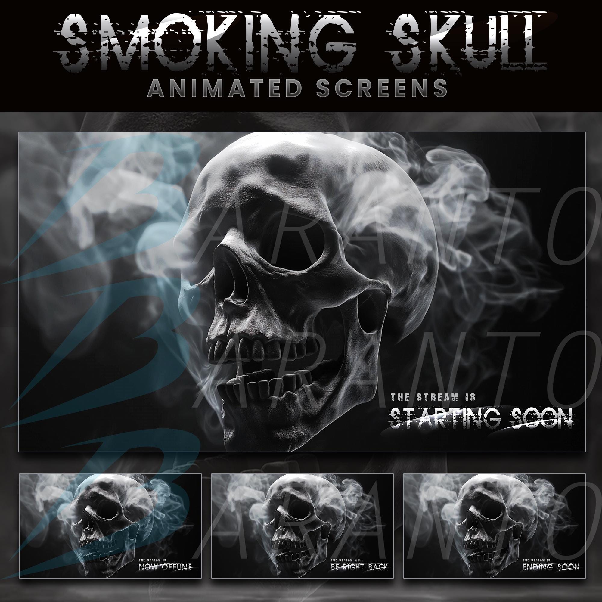 4x Animated Smoking Smoke Skull Screen Overlays | Starting Soon | Brb ...