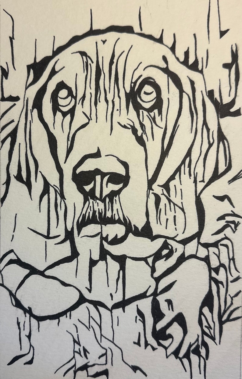 Pet Portraits Sharpie Art - Etsy