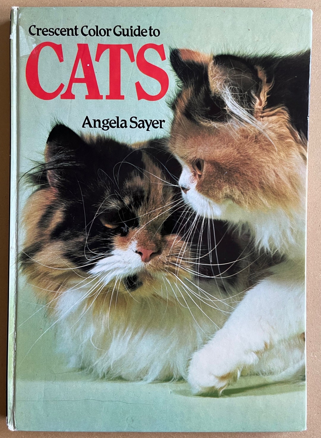 Crescent Color Guide to Cats by Angela Sayer (1980) - Etsy