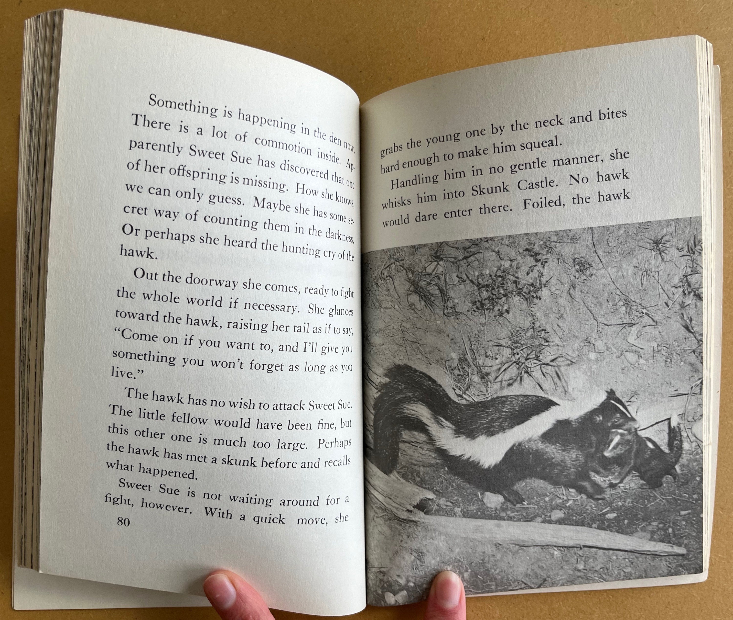 Sweet Sue's Adventures by Sam Campbell (1959) - Etsy