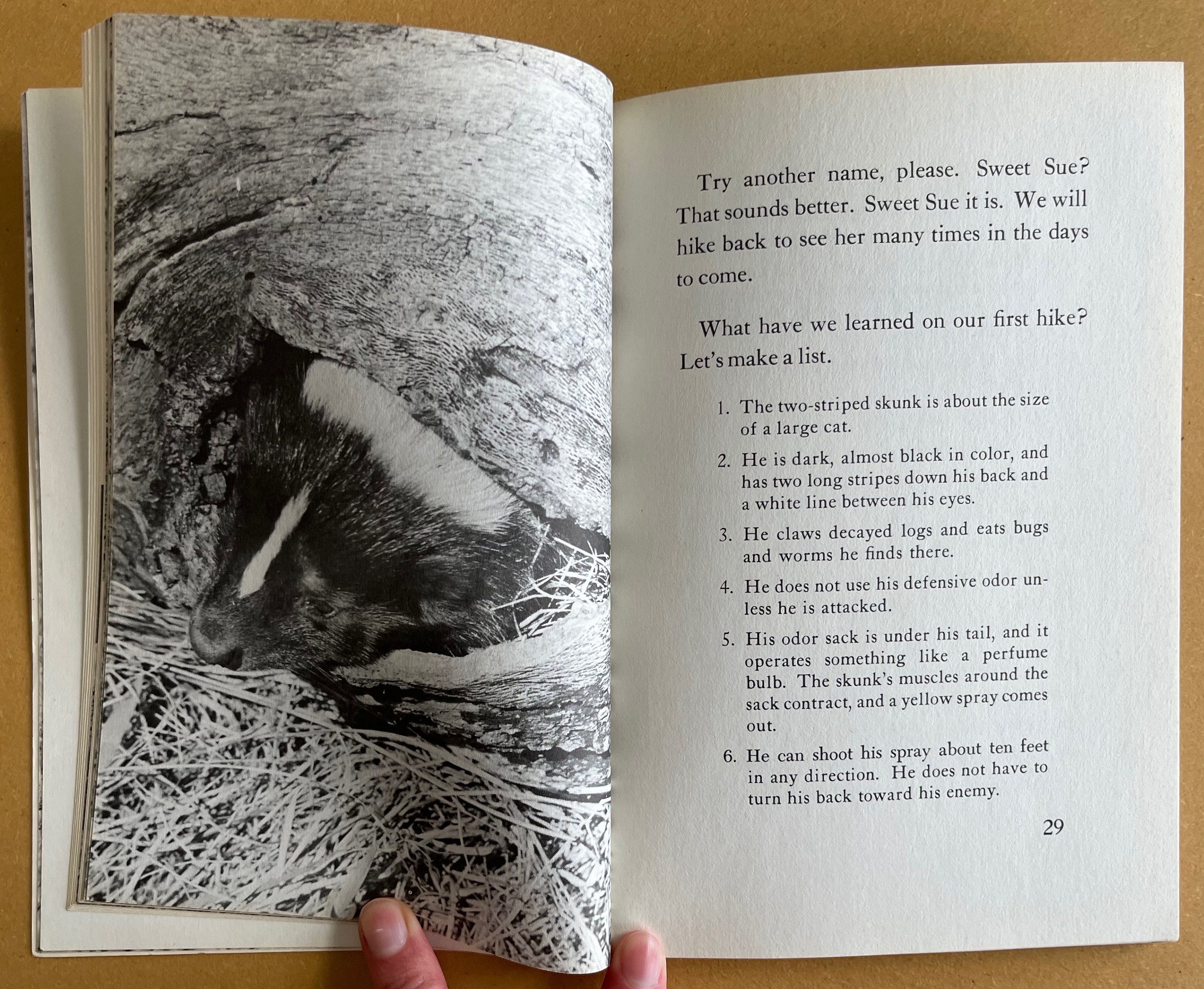 Sweet Sue's Adventures by Sam Campbell (1959) - Etsy