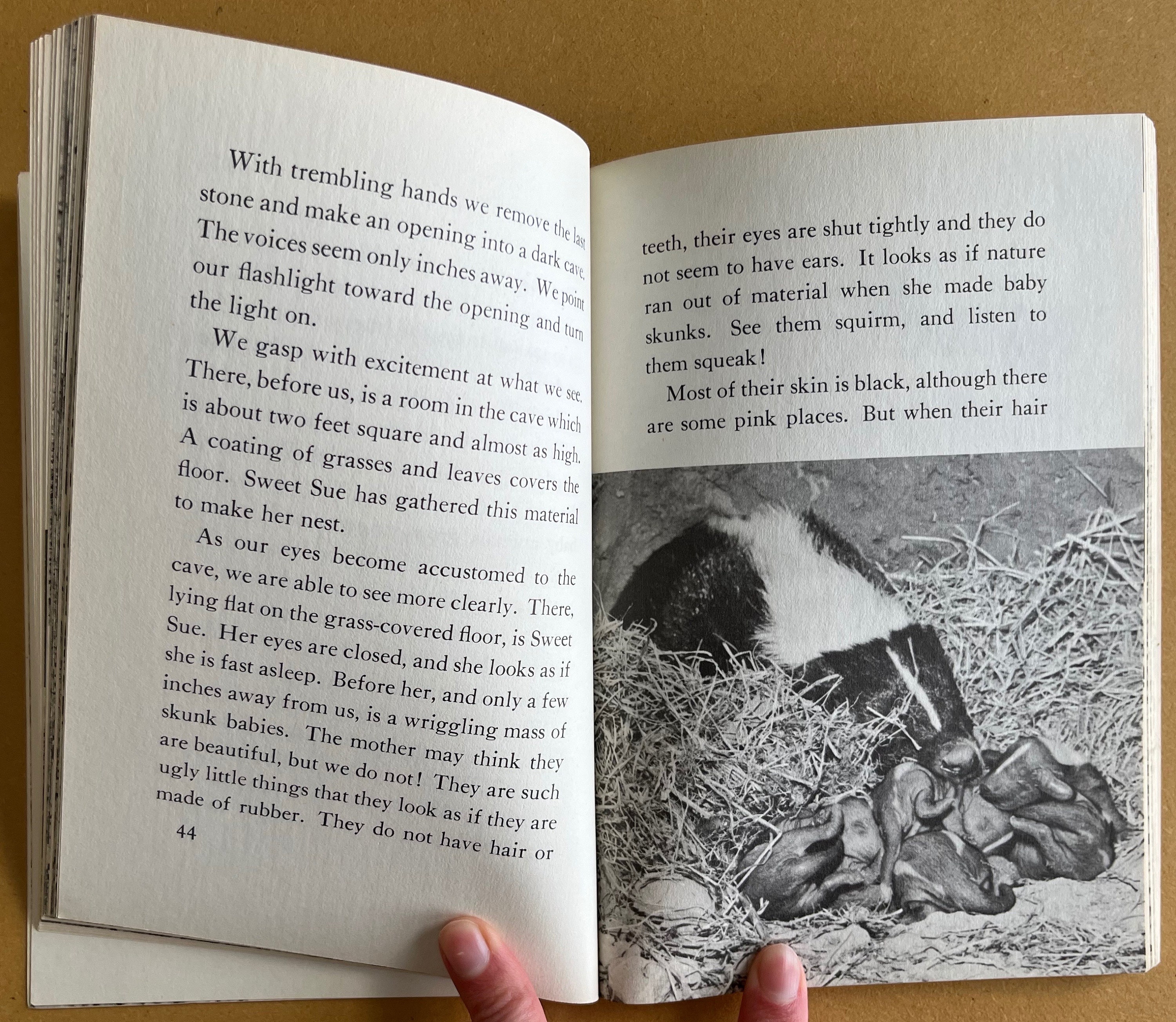 Sweet Sue's Adventures by Sam Campbell 1959 - Etsy