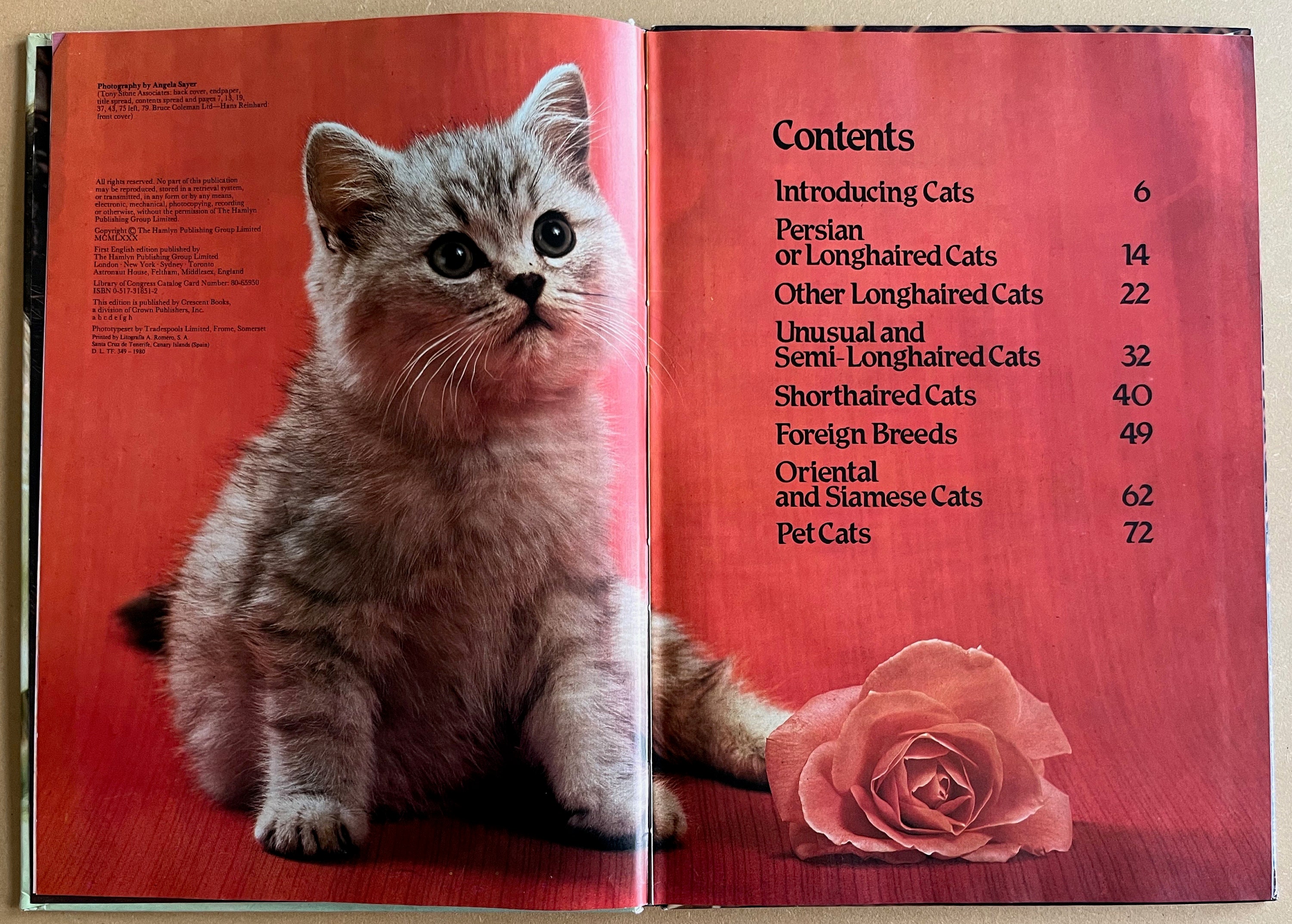 Crescent Color Guide to Cats by Angela Sayer (1980) - Etsy