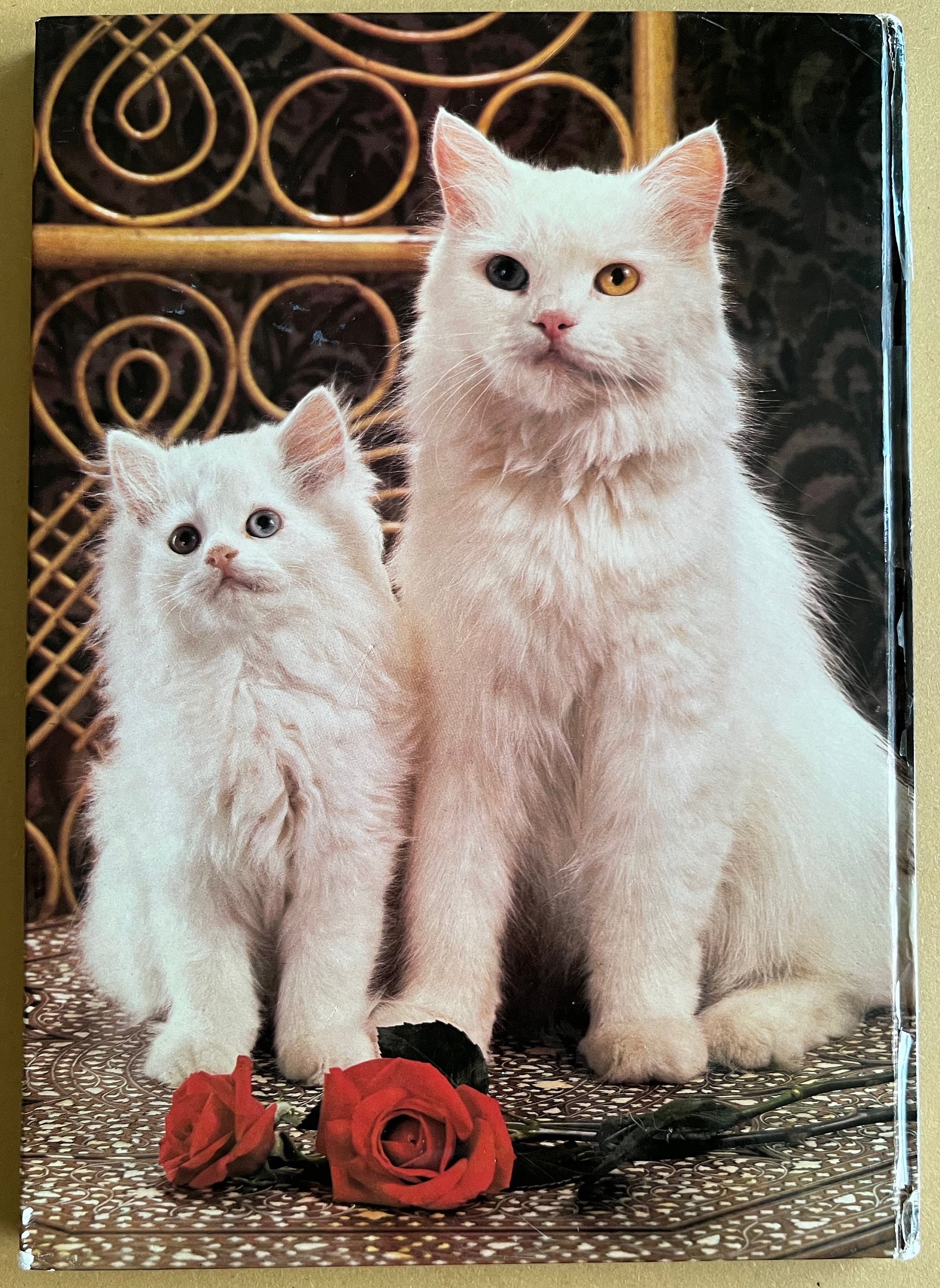 Crescent Color Guide to Cats by Angela Sayer (1980) - Etsy