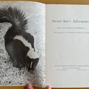 Sweet Sue's Adventures by Sam Campbell (1959) - Etsy