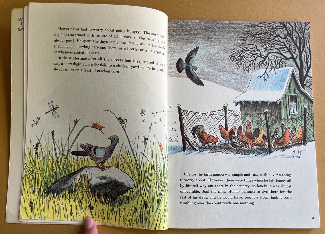 RARE: Fly Homer Fly by Bill Peet 1969 - Etsy