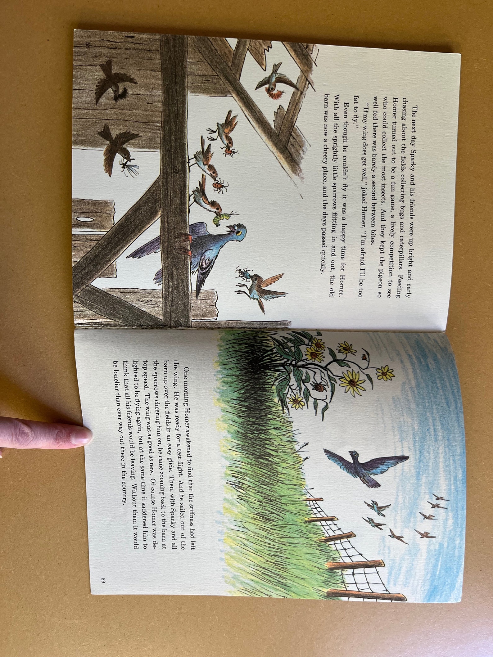 RARE: Fly Homer Fly by Bill Peet (1969) - Etsy