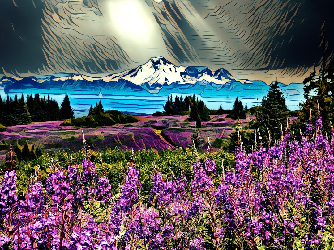 Alaskan Art, Wall Art, Giclee, Canvas, Fireweed, Outdoor, Alaska, Mt ...
