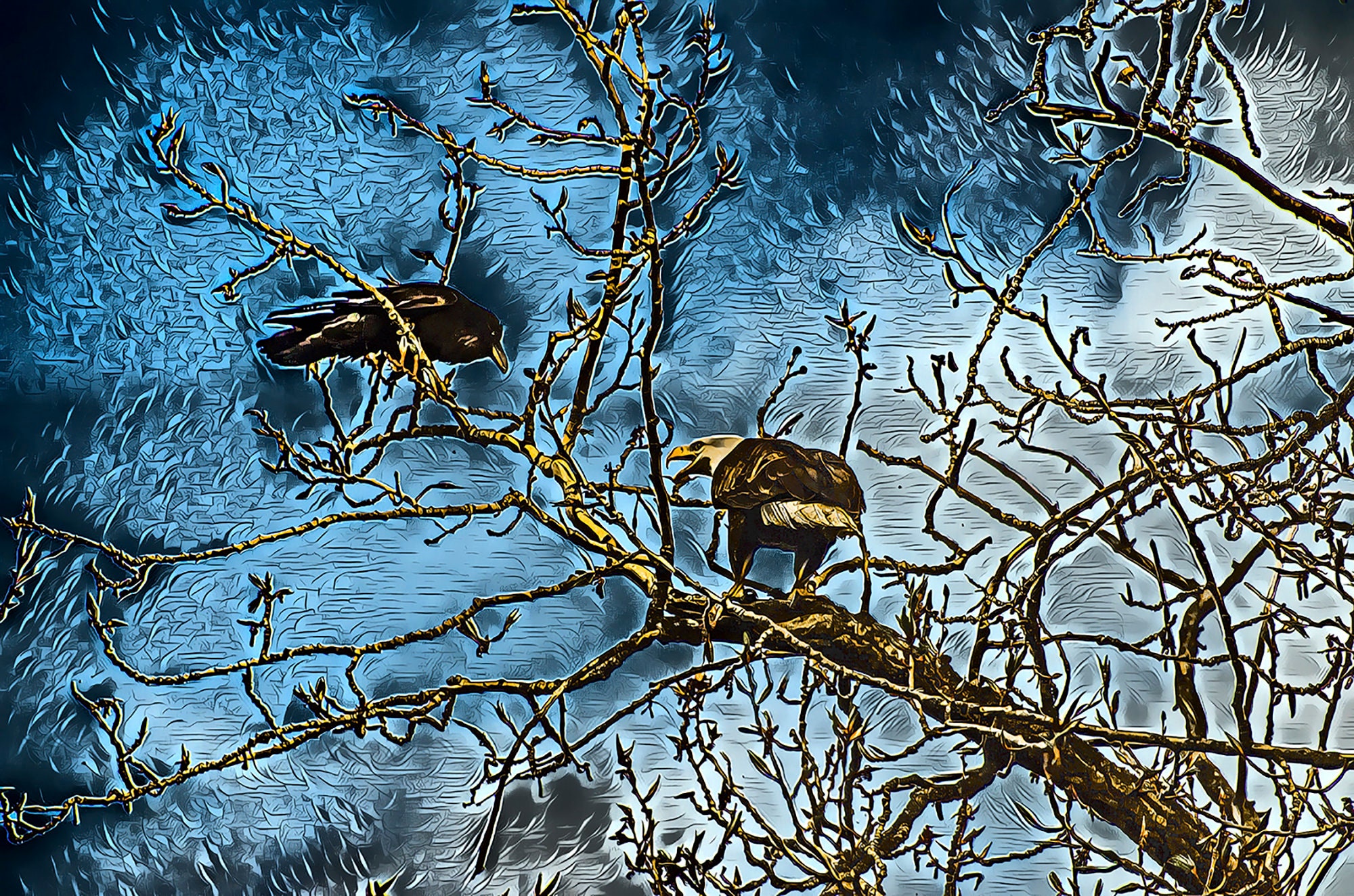 Alaskan Art, Wall Art, Giclee, Canvas, Fine Art, Mountain Life, Alaska ...