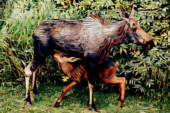 Alaskan Art Wall Art Giclee Canvas Fine Art Rustic Art | Etsy