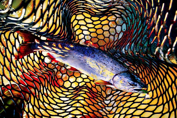 Alaskan Art Fish Wall Art Giclee Canvas Fine Art Salmon | Etsy