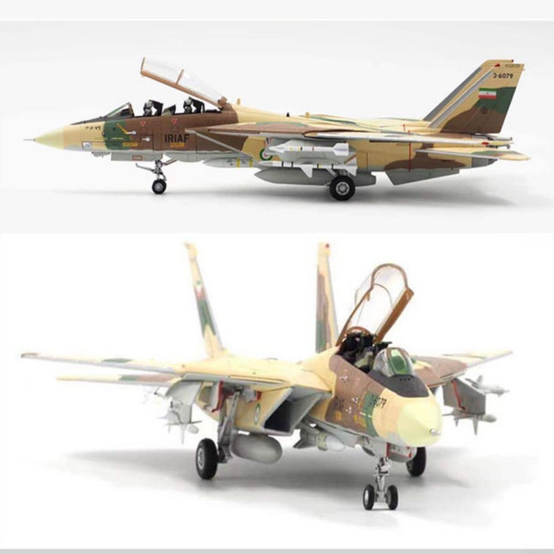 Maqueta a escala 1/72 del F-14A Tomcat, réplica de avión militar en ...