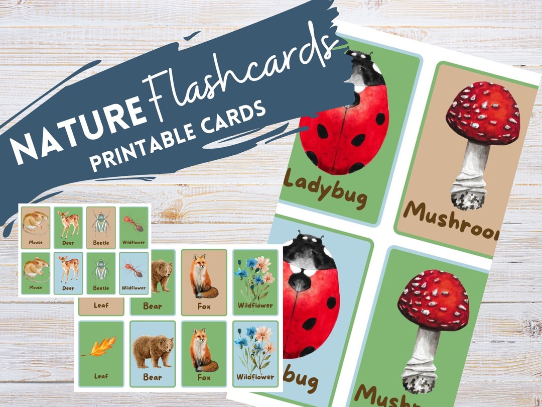 Nature Study Flashcards, Homeschool Flashcards, Woodland Creatures ...