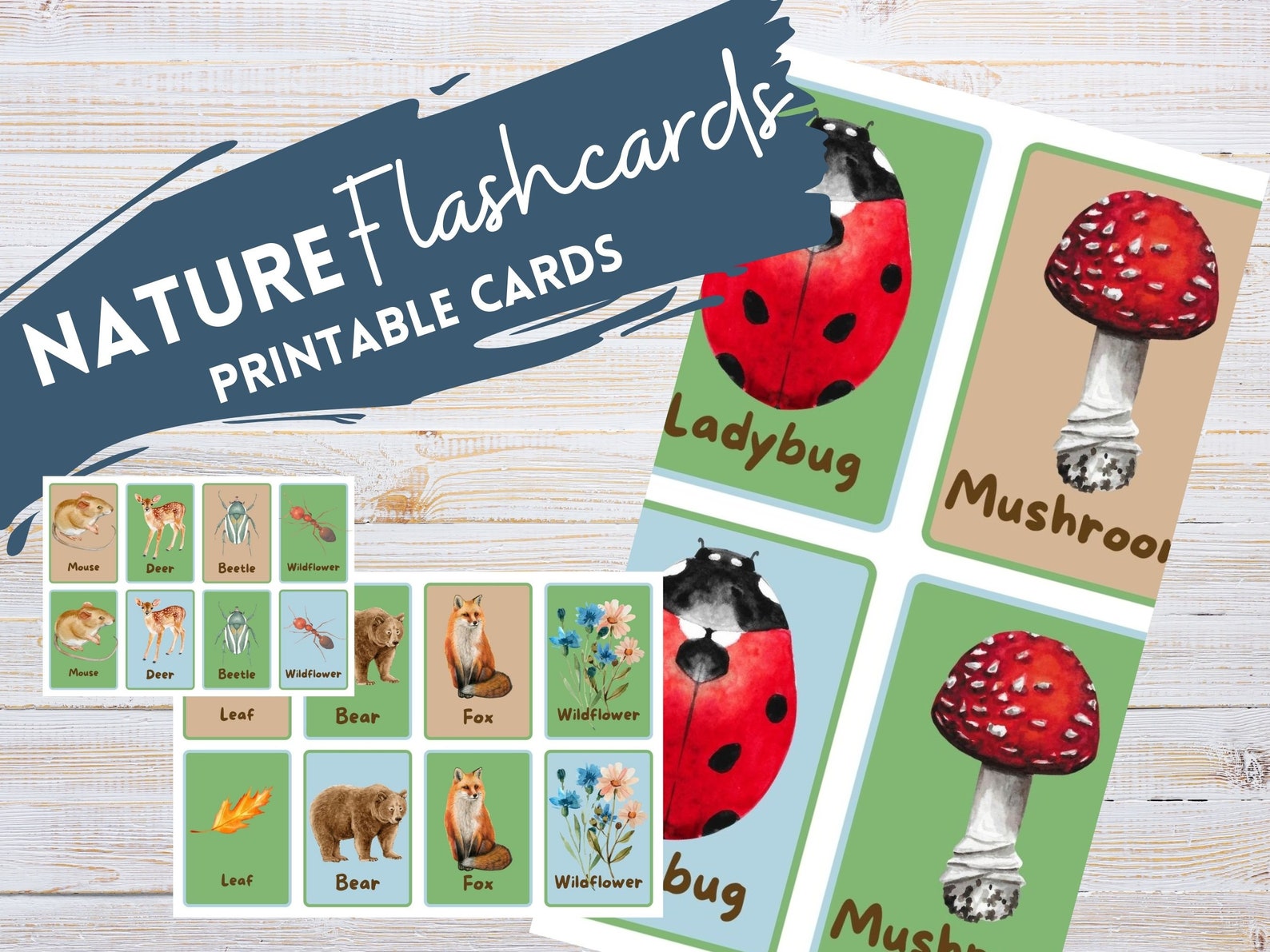 Nature Study Flashcards, Homeschool Flashcards, Woodland Creatures ...