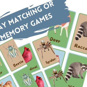 Nature Study Flashcards, Homeschool Flashcards, Woodland Creatures ...