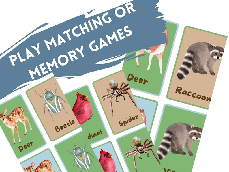 Nature Study Flashcards, Homeschool Flashcards, Woodland Creatures ...