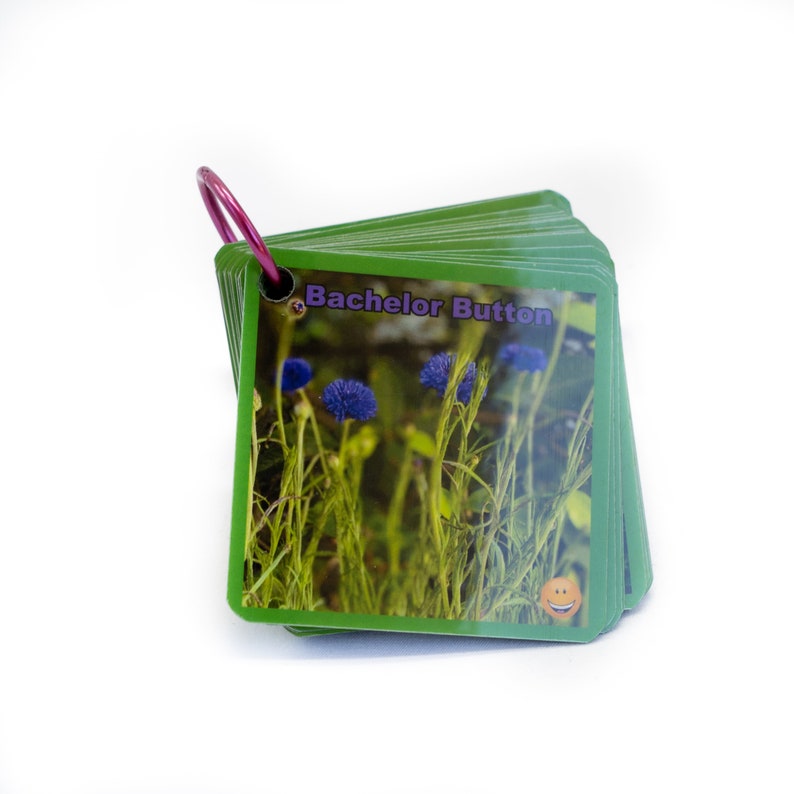 Tessagrows Edible Flower Identification Garden Pack: A Family Friendly ...