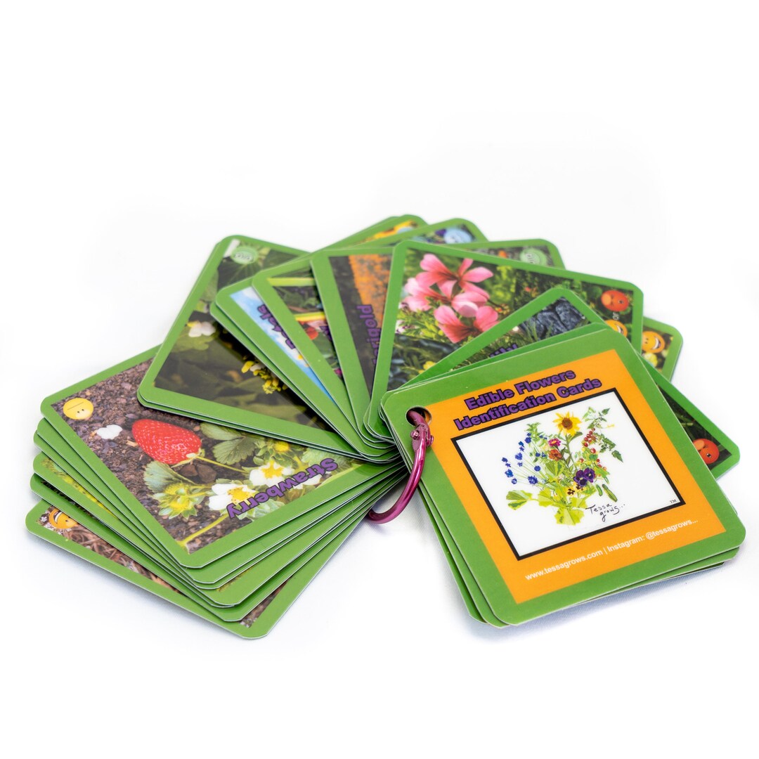 Tessagrows Edible Flower Identification Cards. Purchase Also Gets You ...