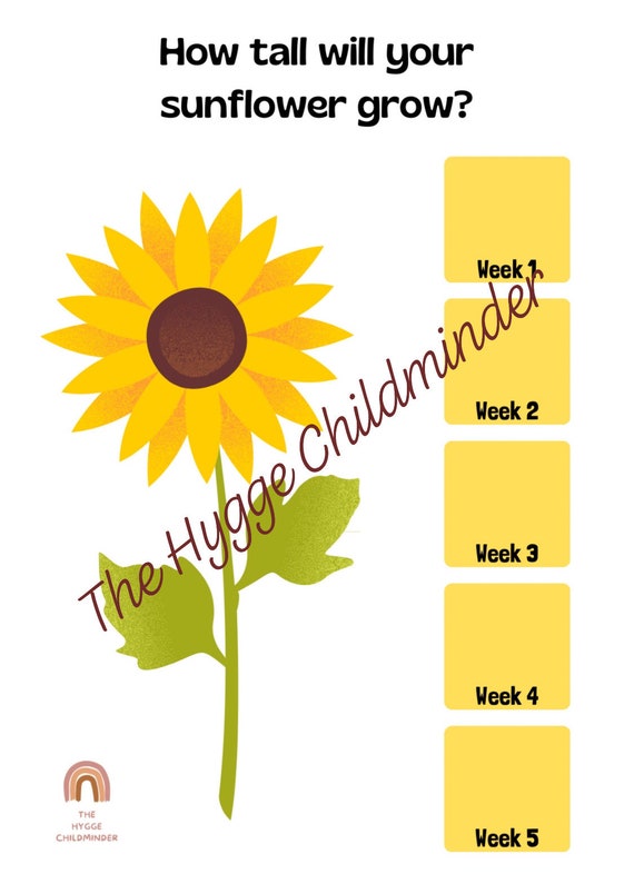 Sunflower Growth Chart Pdf Download Etsy