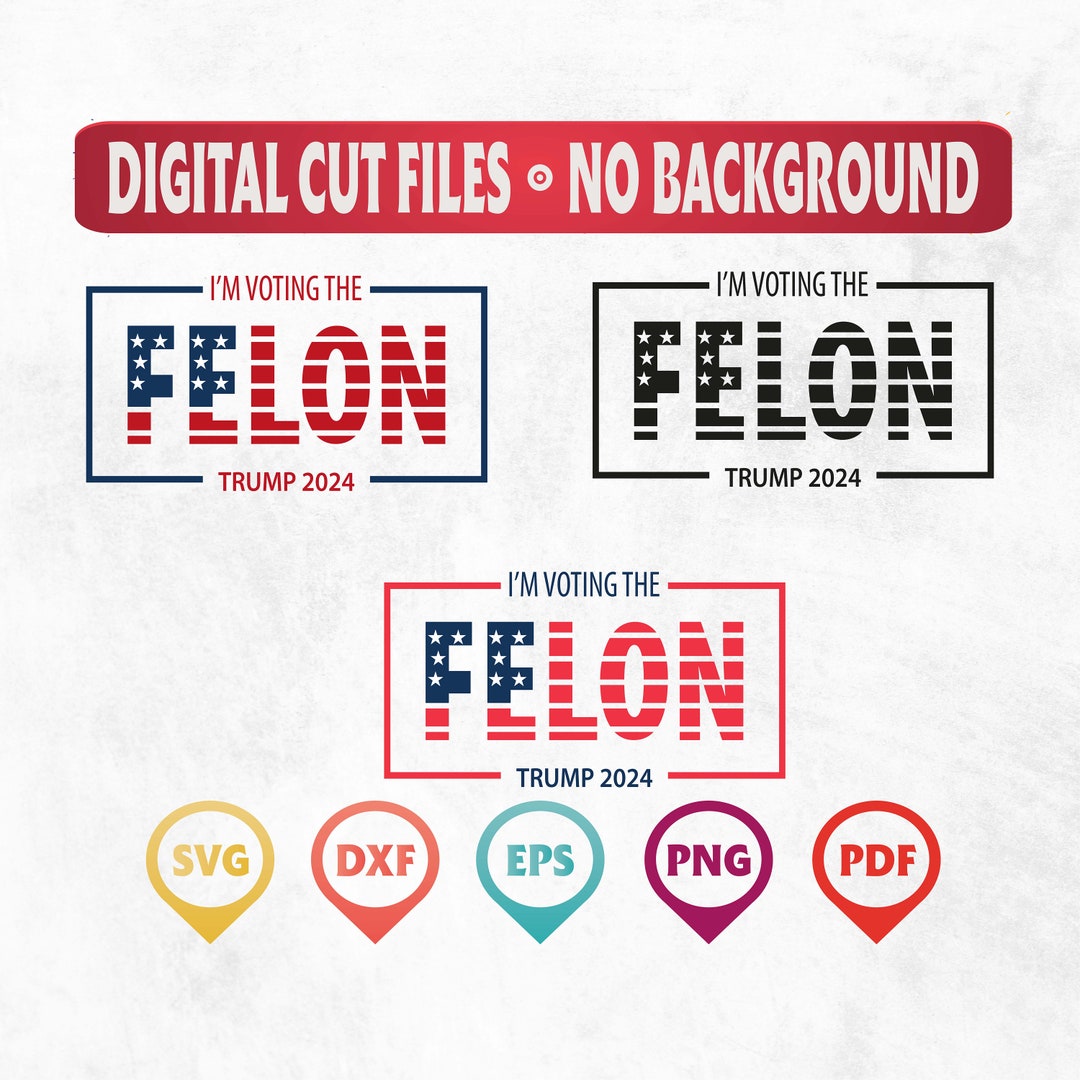 Im Voting for the Felon, , 2024 Felon, Political Humor 2024, Digital ...