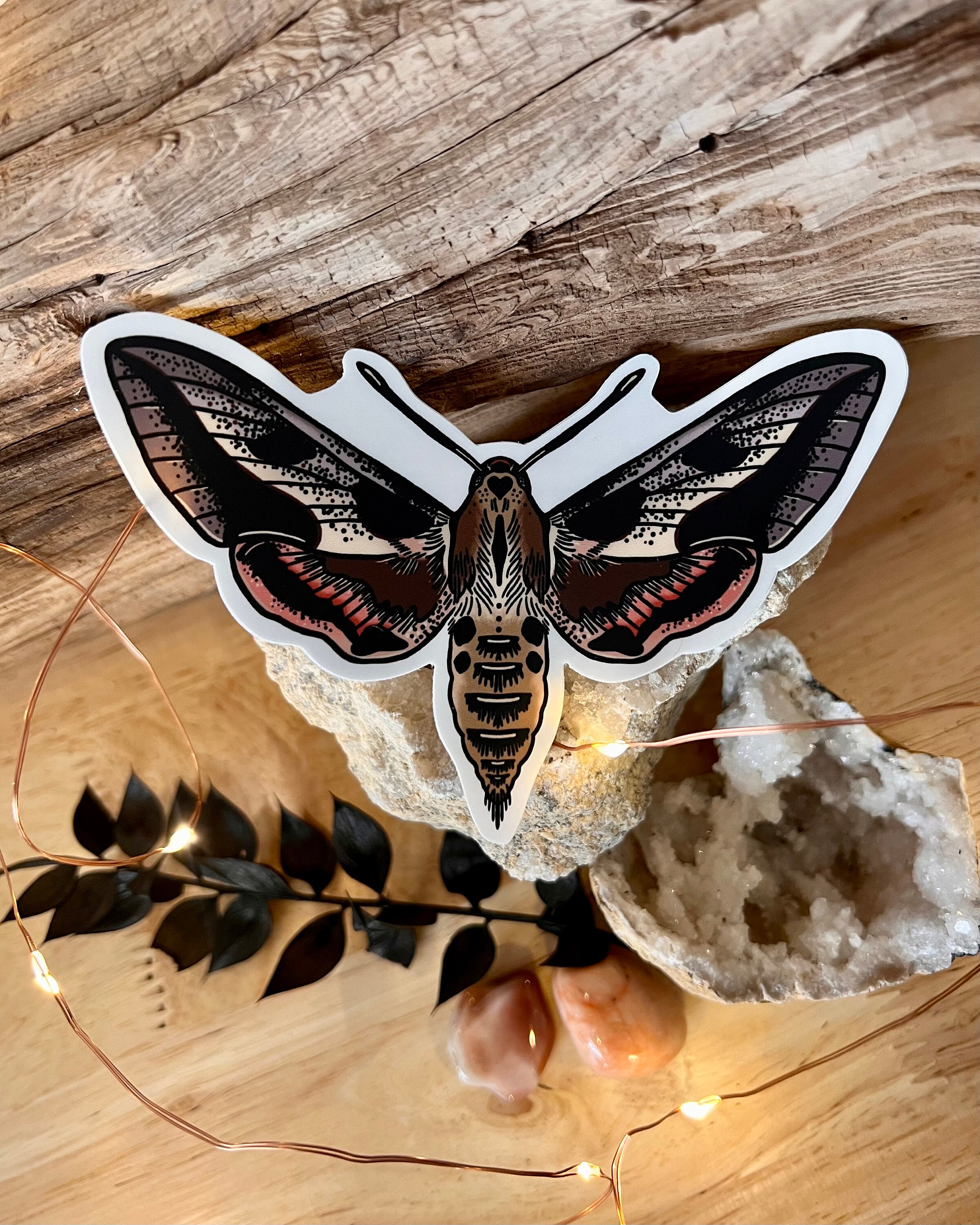 Pink Moth Sticker - Etsy