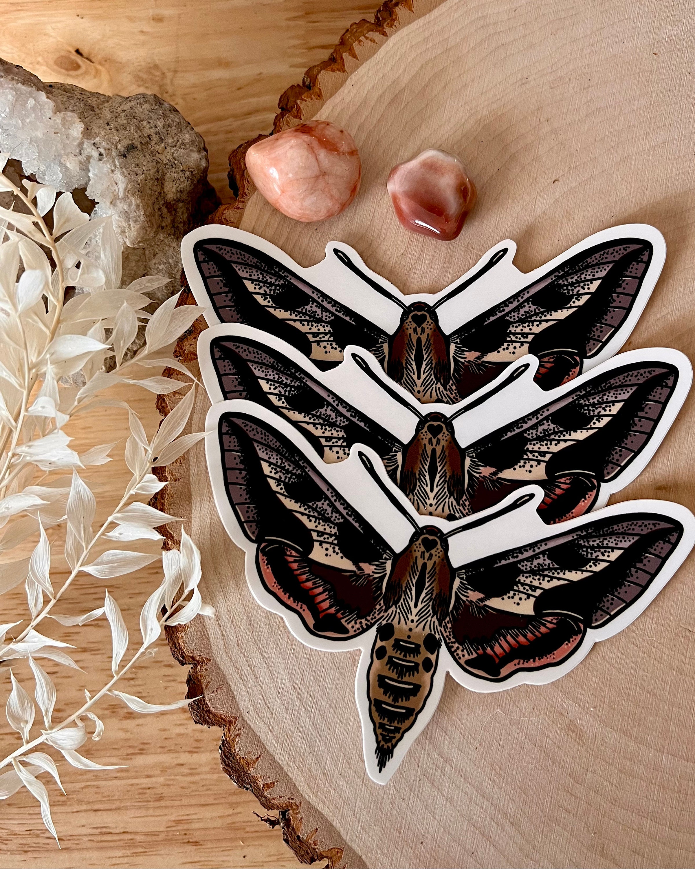 Pink Moth Sticker - Etsy