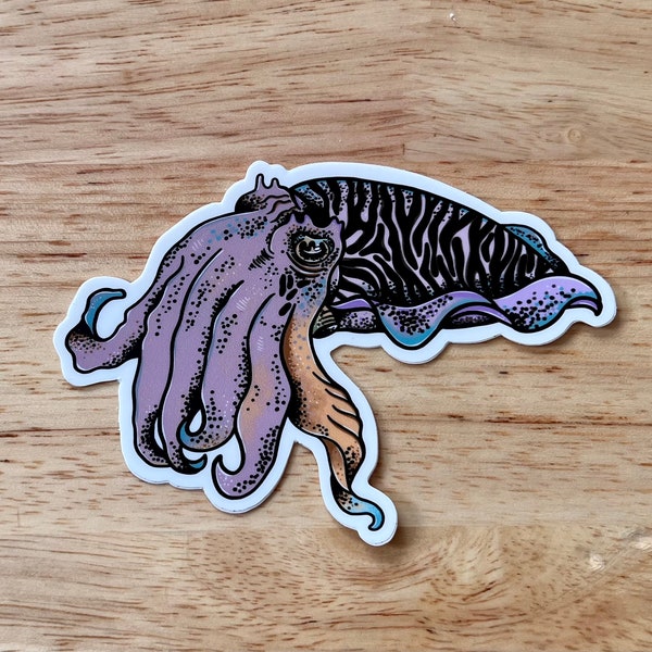 Cuttlefish - Etsy