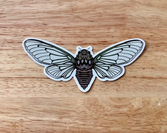 Cicada Sticker Decals, Insect Decal, Nature Laptop Sticker, Waterproof ...