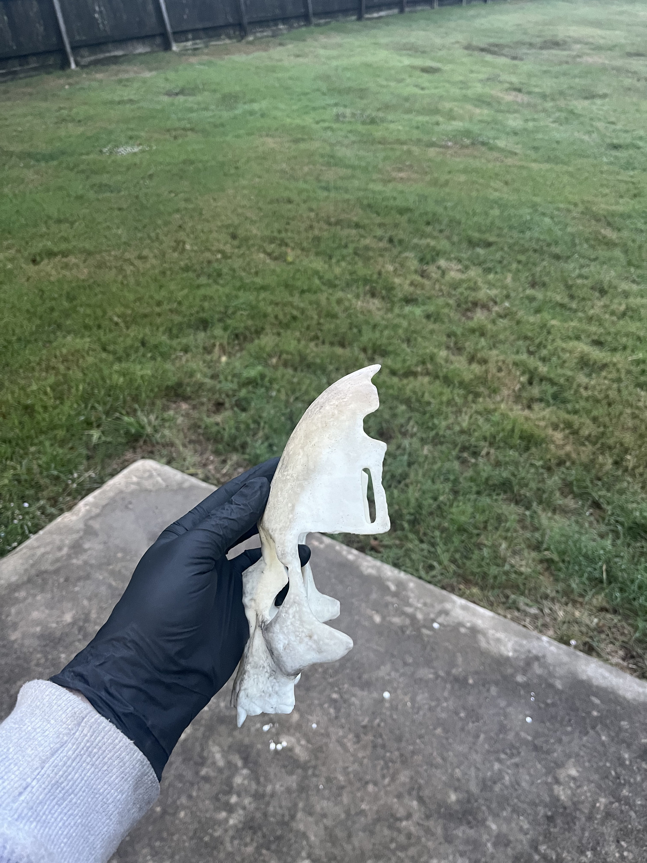 Resin 3d-printed Tarkov Goon Knight Mask Cosplay/airsoft-mask - Etsy