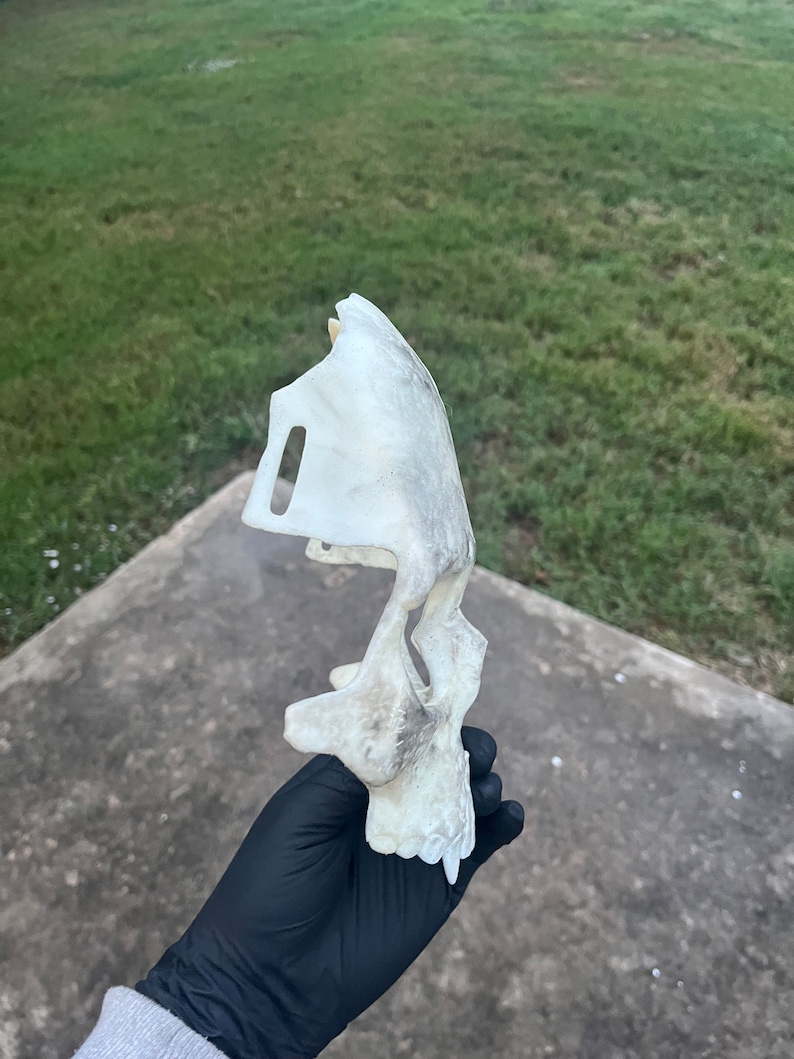 Resin 3d-printed Tarkov Goon Knight Mask Cosplay/airsoft-mask - Etsy