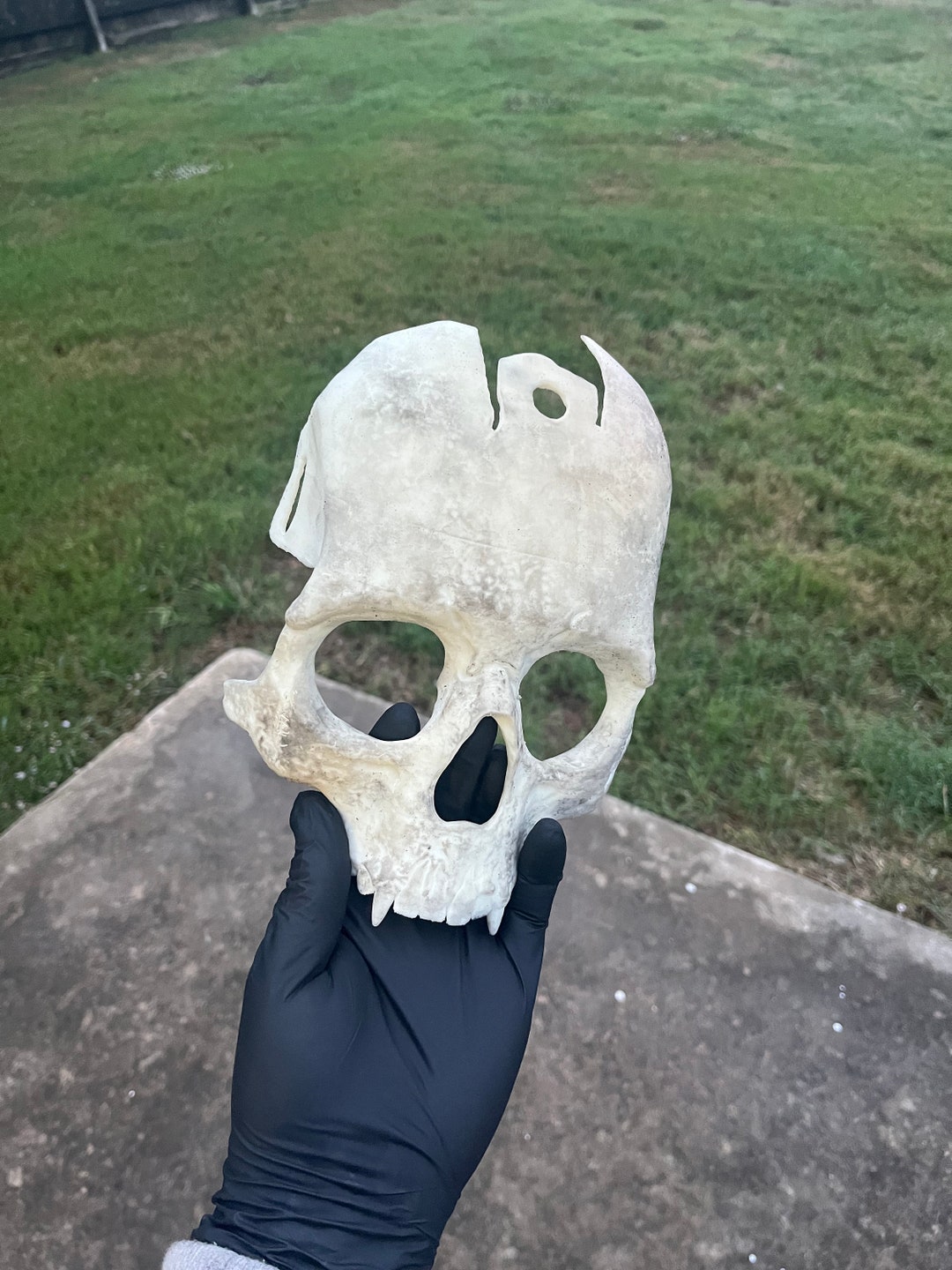 Resin 3d-printed Tarkov Goon Knight Mask Cosplay/airsoft-mask - Etsy