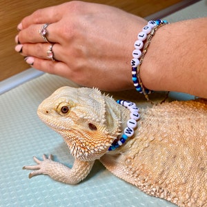 Build Your Dragonlet! - Etsy