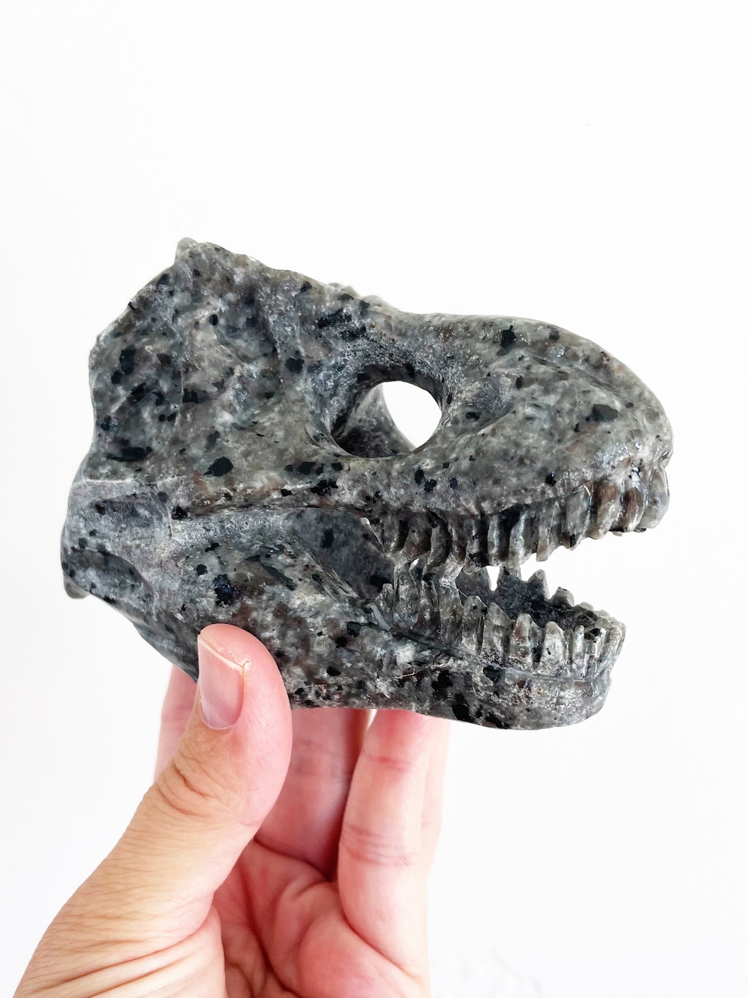 Yooperlite Dinosaur Skull - Etsy