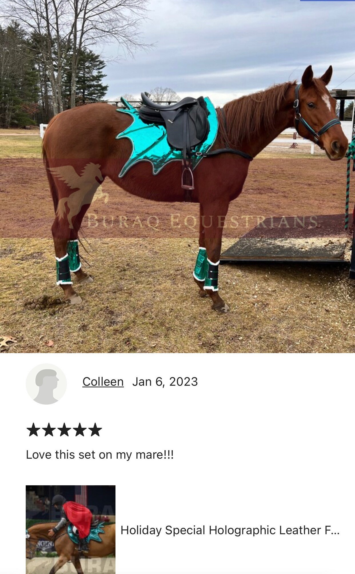 Luxury Style Holographic Leather Faux Dragon Wings Saddle Pad and ...